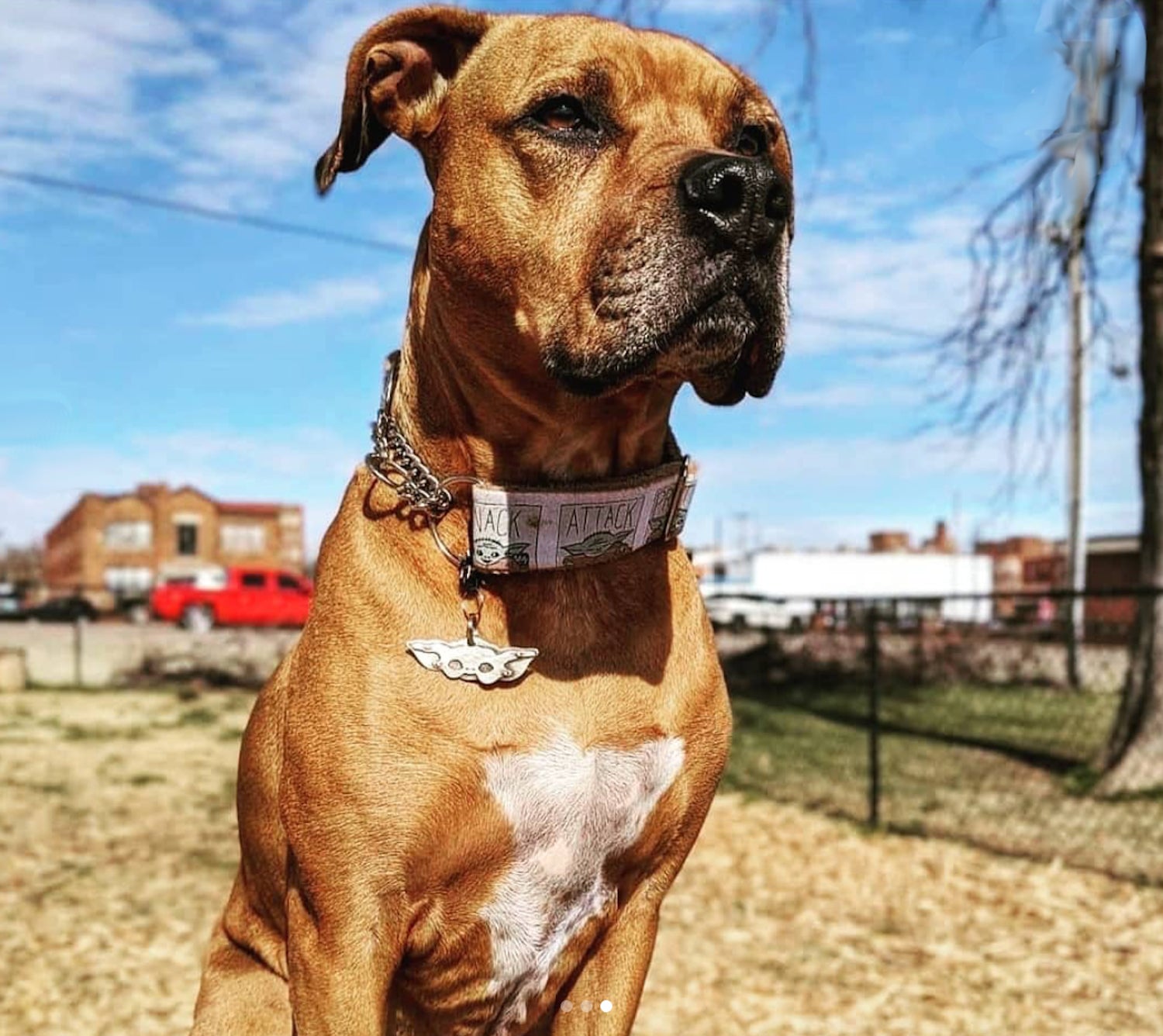Yoda Dog Tag